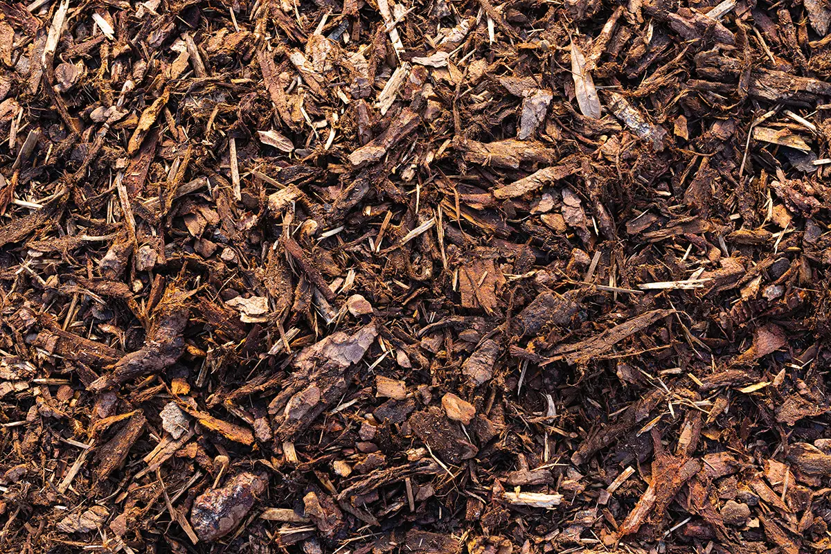 Natural Organic Mulch - Gulf Coast Gardening